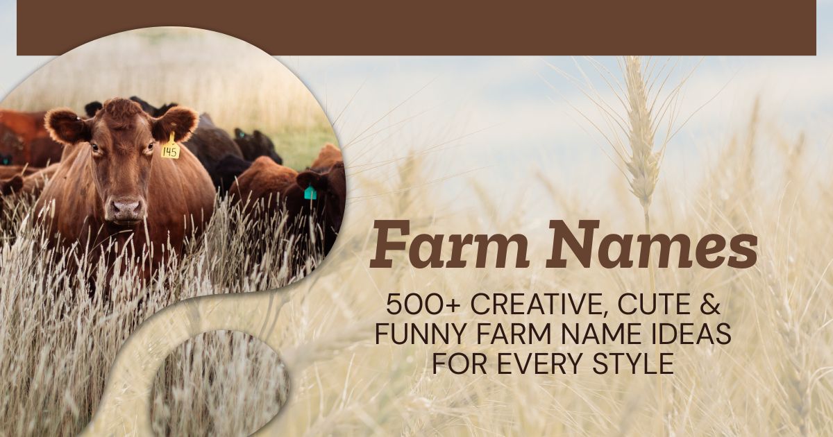 Best Farm Names Ideas & Generators (Cute, Funny, Stardew) - random ...